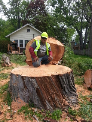 A Tree Service Provider in Round Lake, IL, 60073